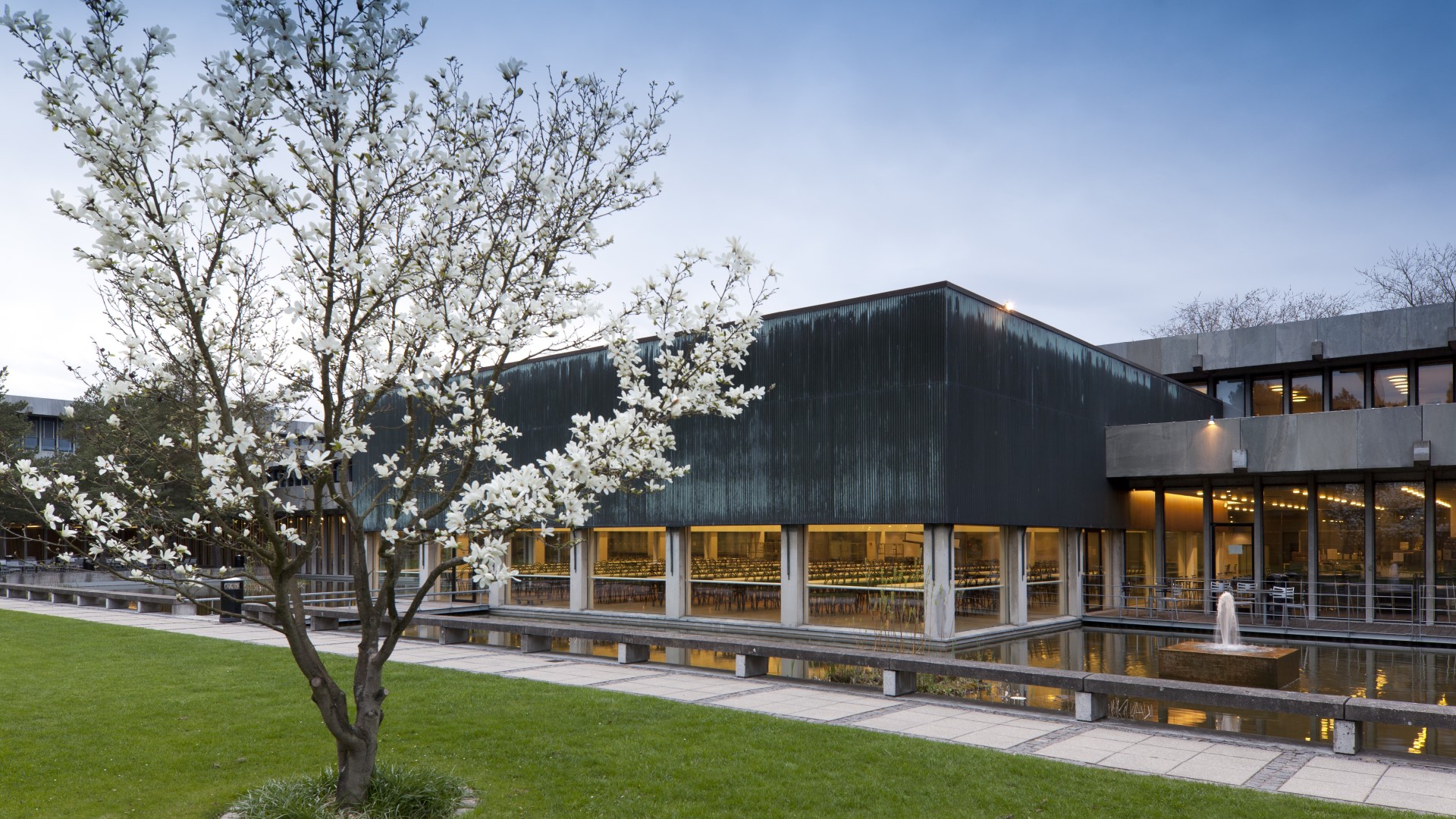 DTU Bioengineering