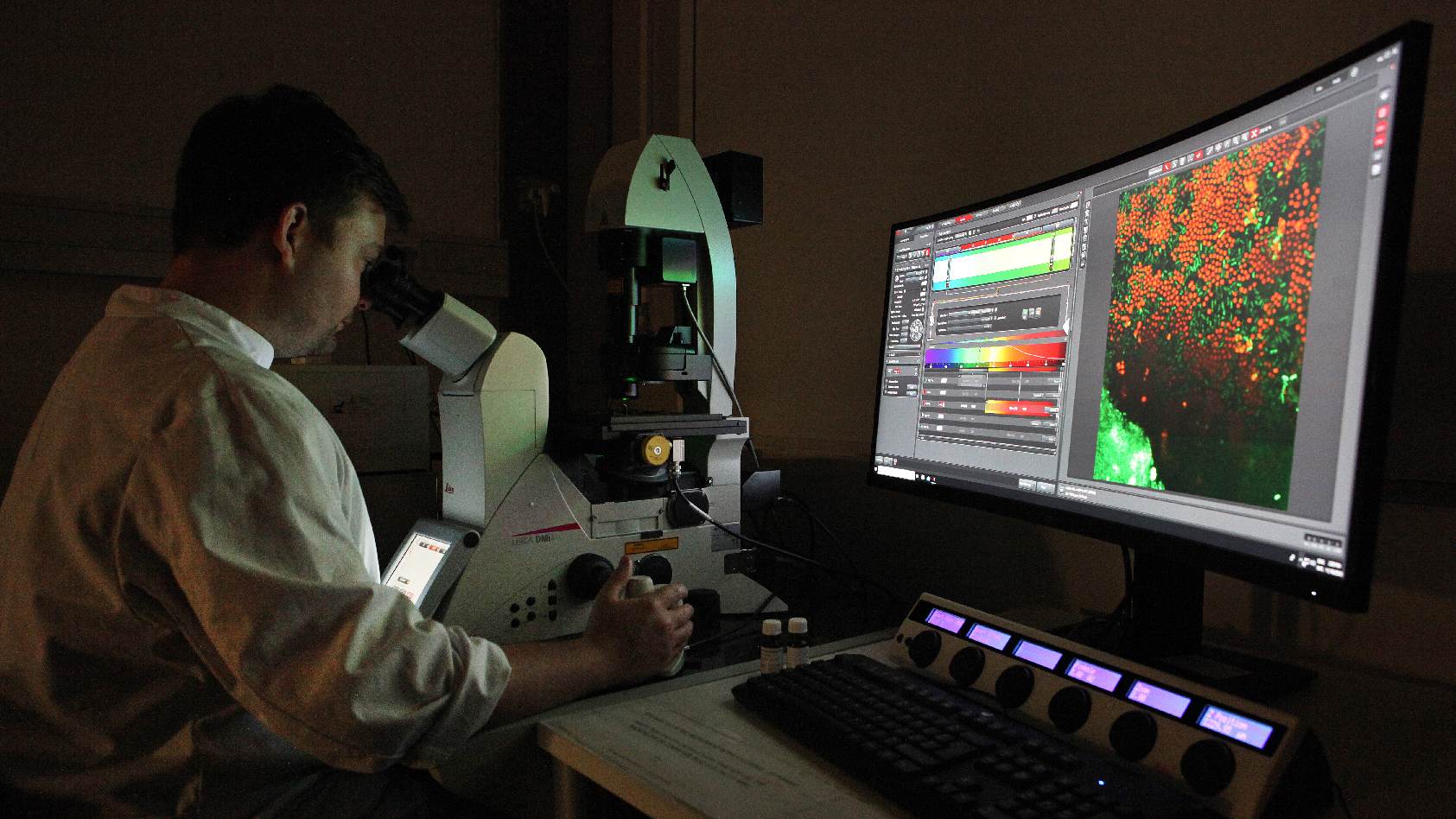 DTU Bioengineering